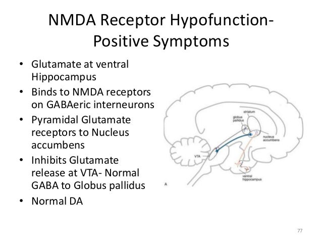 Neurobiology of schizophrenia