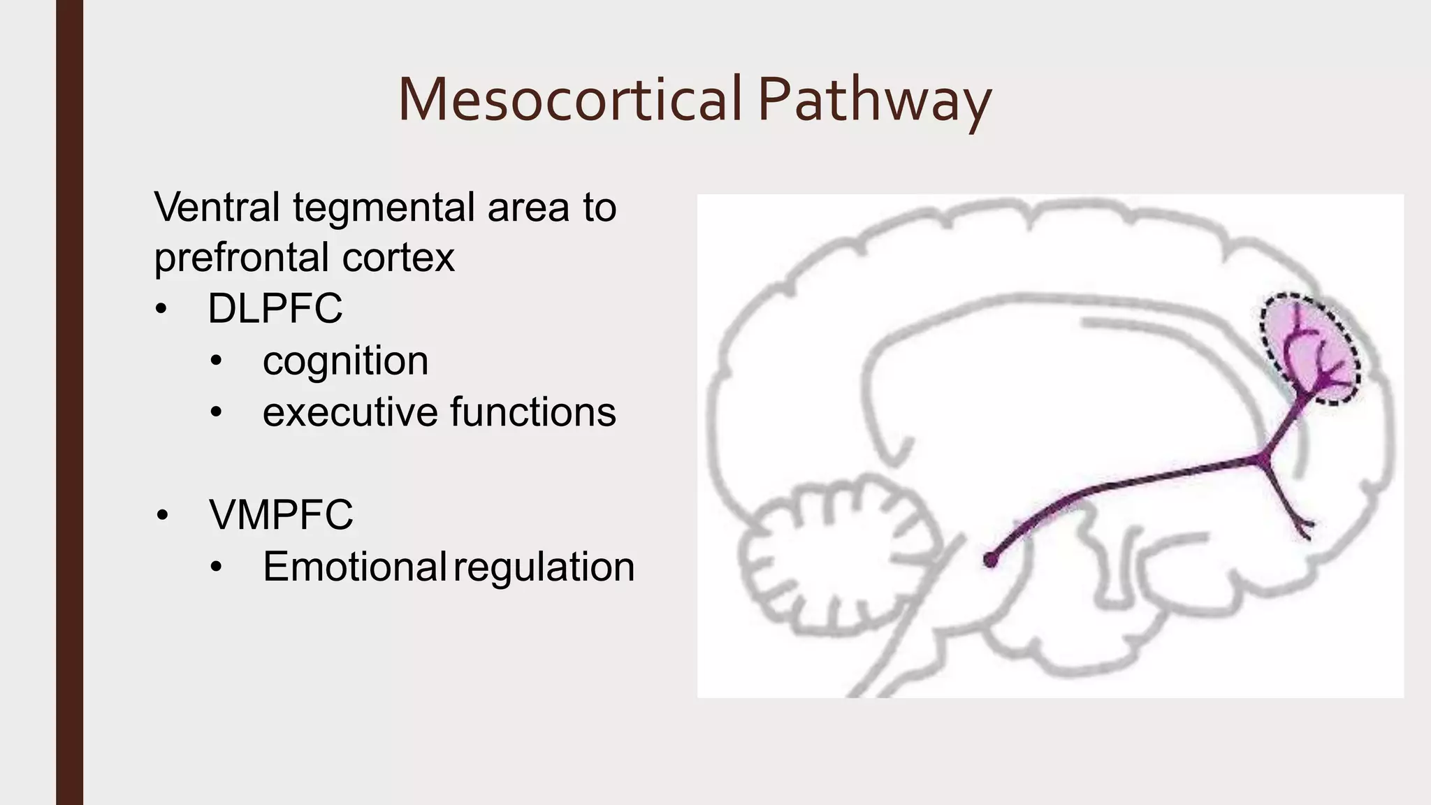 Neurobiology of schizophrenia | PPTX