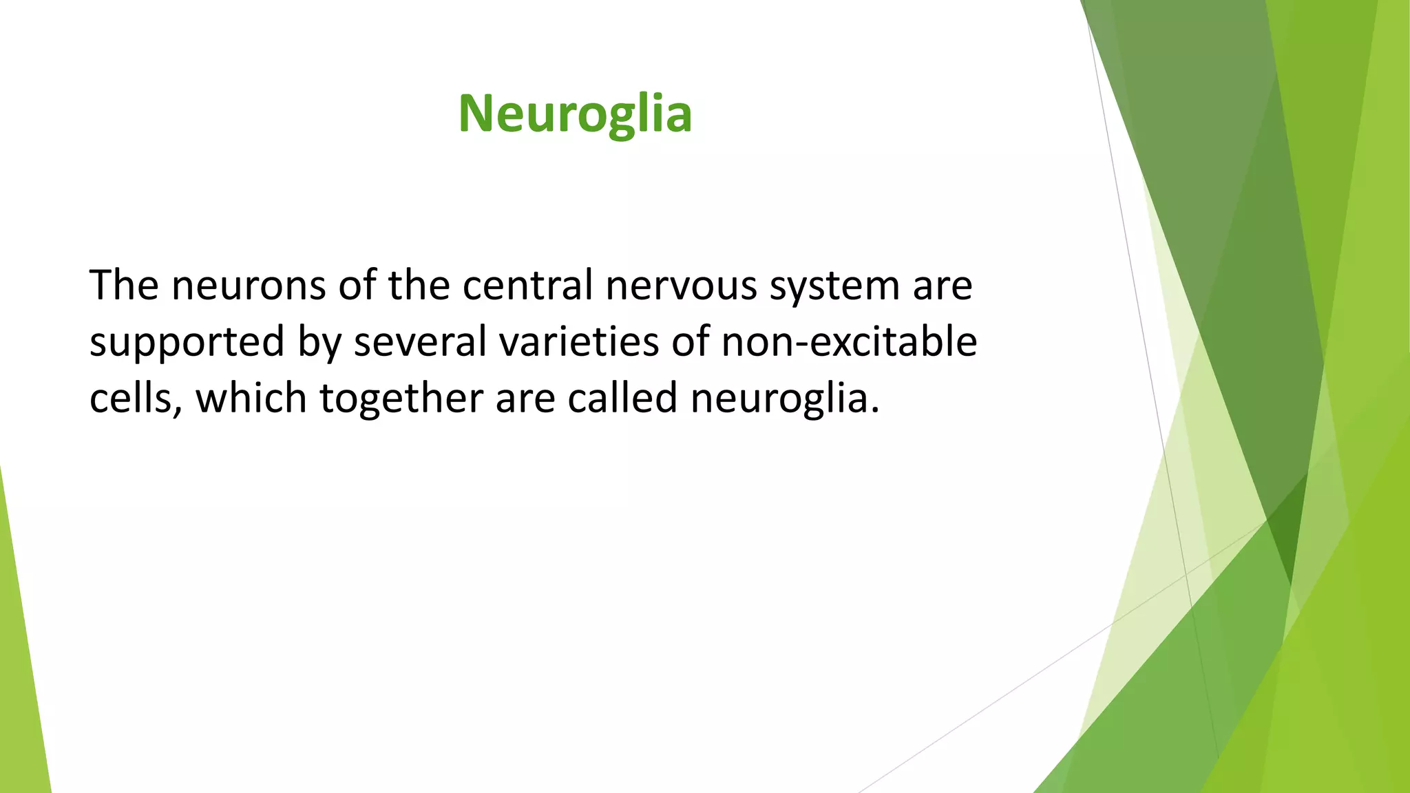 Neurobiology of the neuron and neuroglia - august'18 | PPT