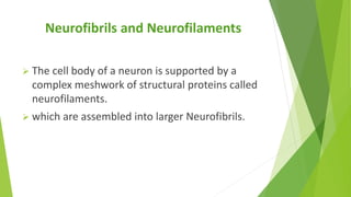Neurobiology of the neuron and neuroglia - august'18 | PPTX