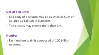 Neurobiology of the neuron and neuroglia - august'18 | PPTX