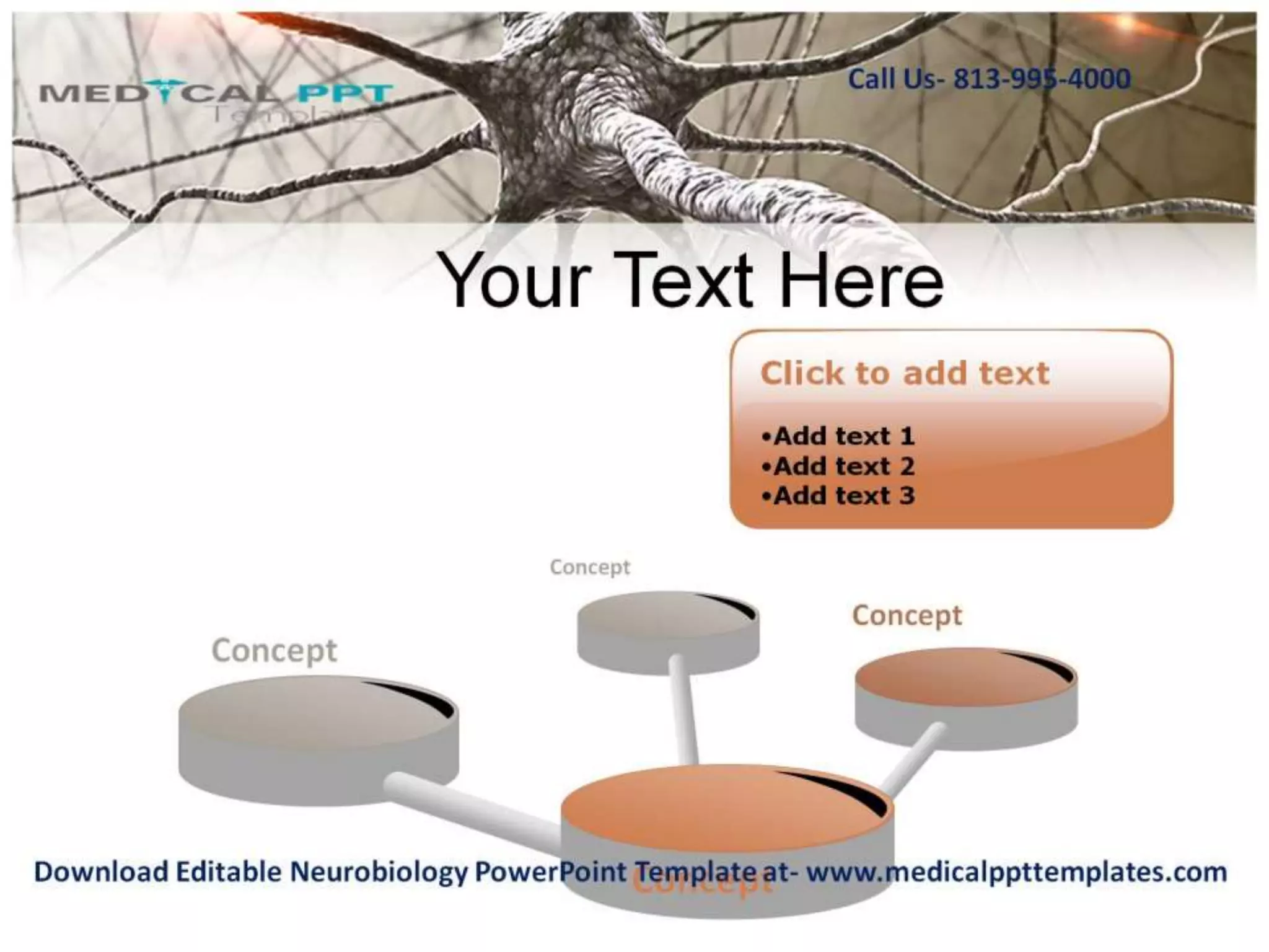 Editable Neurobiology PowerPoint Template | PPT | Free Download