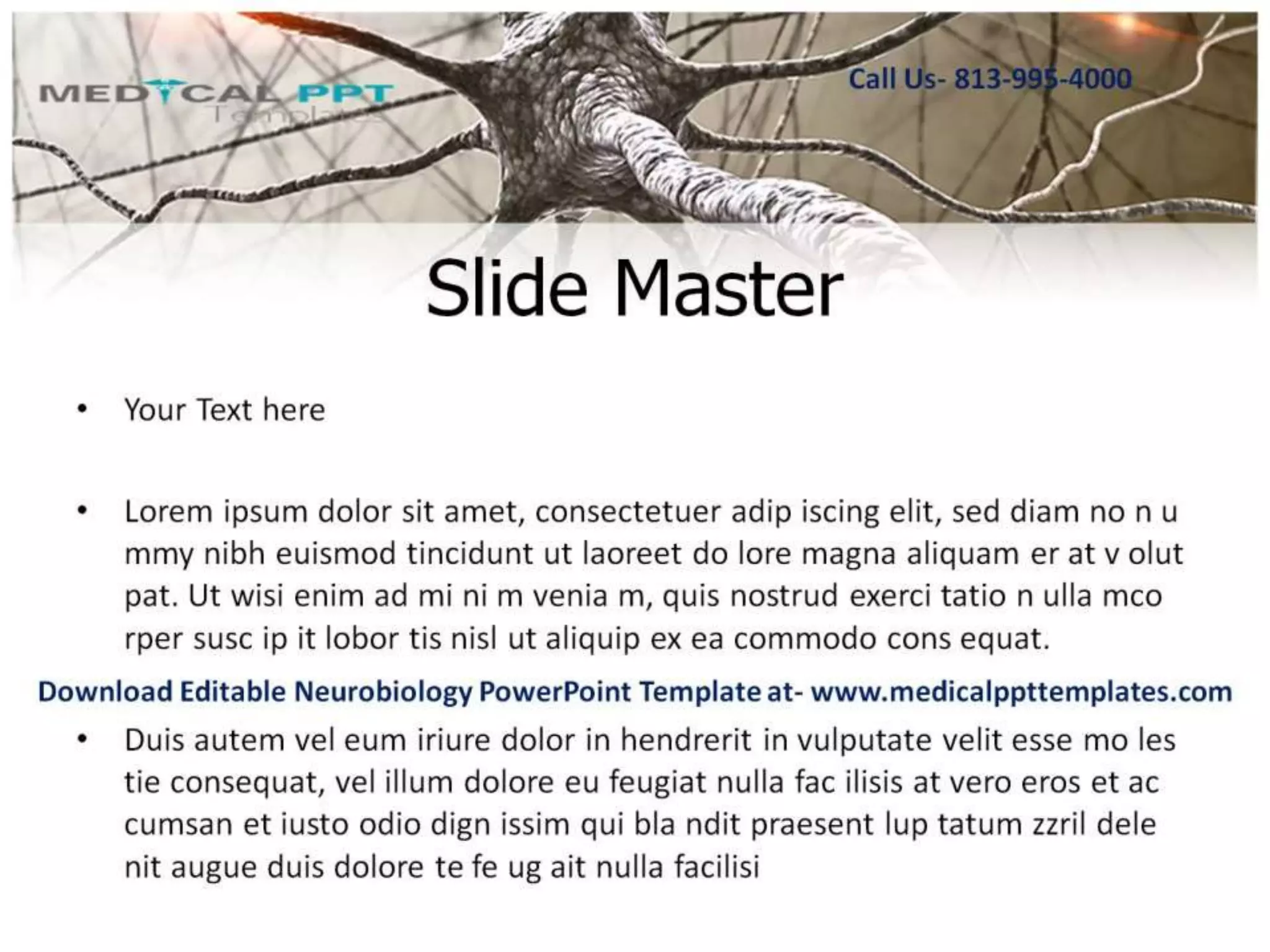 Editable Neurobiology PowerPoint Template | PPTX