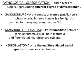 Neuroblastoma | PPT