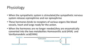 Neuroblastoma | PPTX