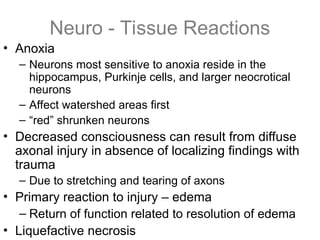 neuro_bone_derm_&&&&-------------fem.ppt