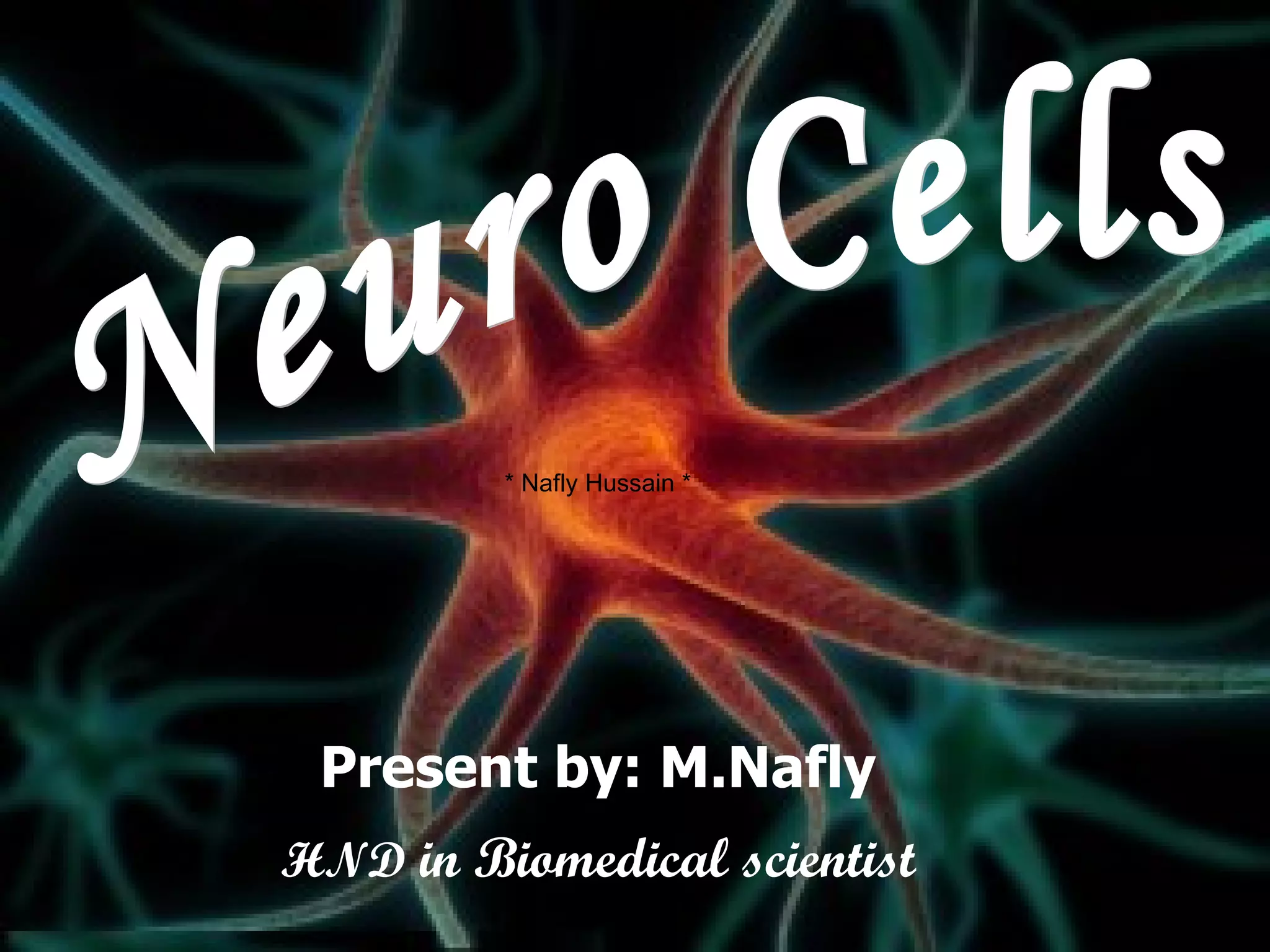 Neuro cell or neuron cell | PPT