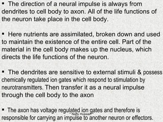 Neuro cell or neuron cell | PPT
