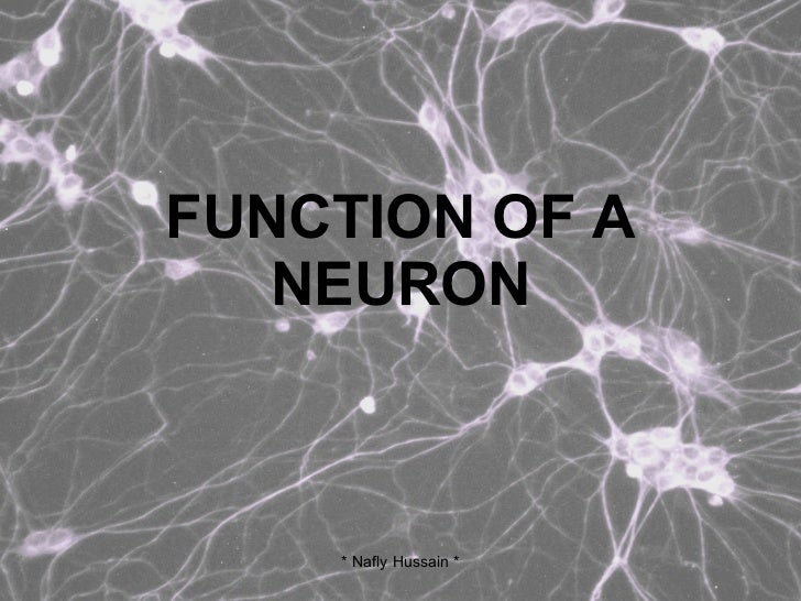 Neuro cell or neuron cell