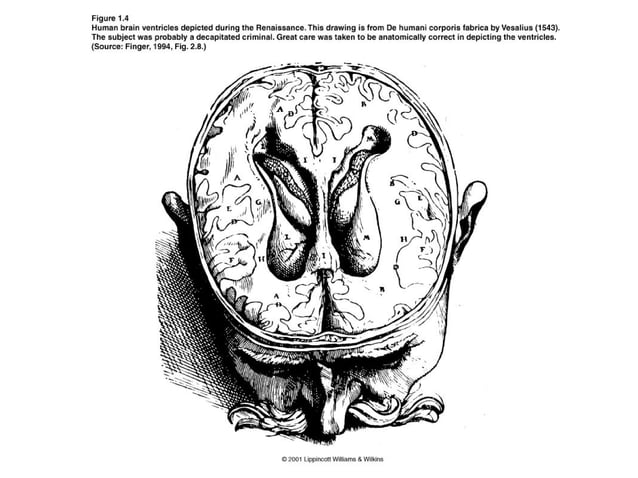 Neuro ch 1 past present future_upload | PPT