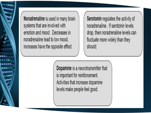 Neurochemical basis of mood disorders | PPT