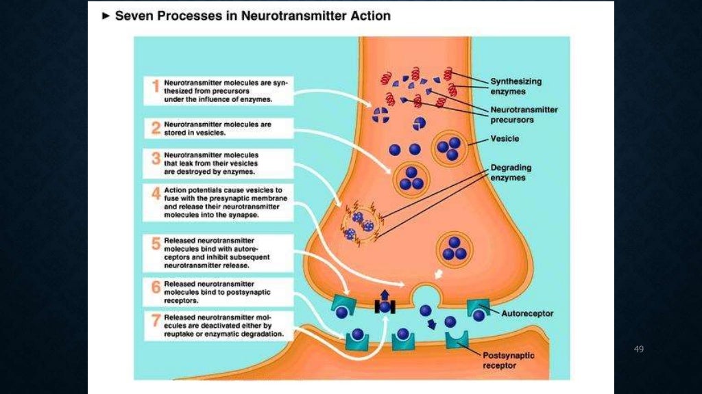 Neurochemistry