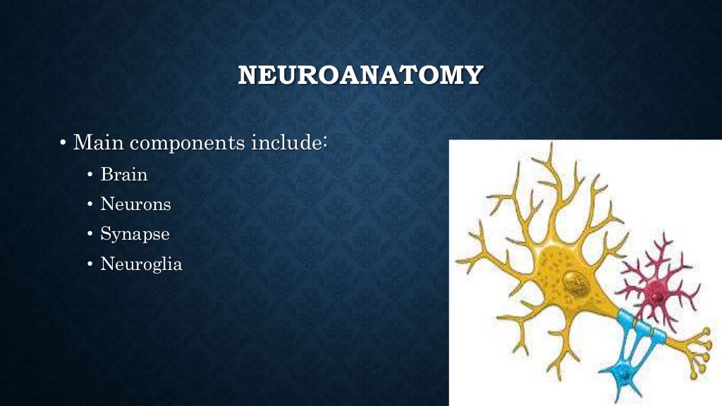 Neurochemistry