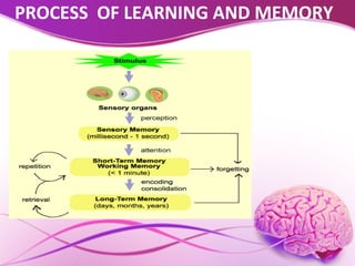Neuro chemistry of Learning and memory | PPT