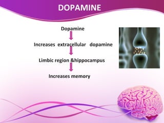 Neuro chemistry of Learning and memory | PPT