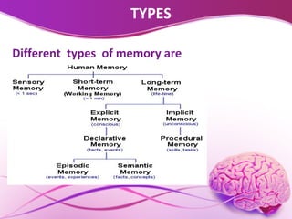 Neuro chemistry of Learning and memory | PPT