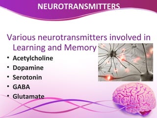 Neuro chemistry of Learning and memory | PPT