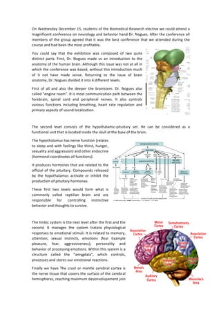 Neurociència | PDF