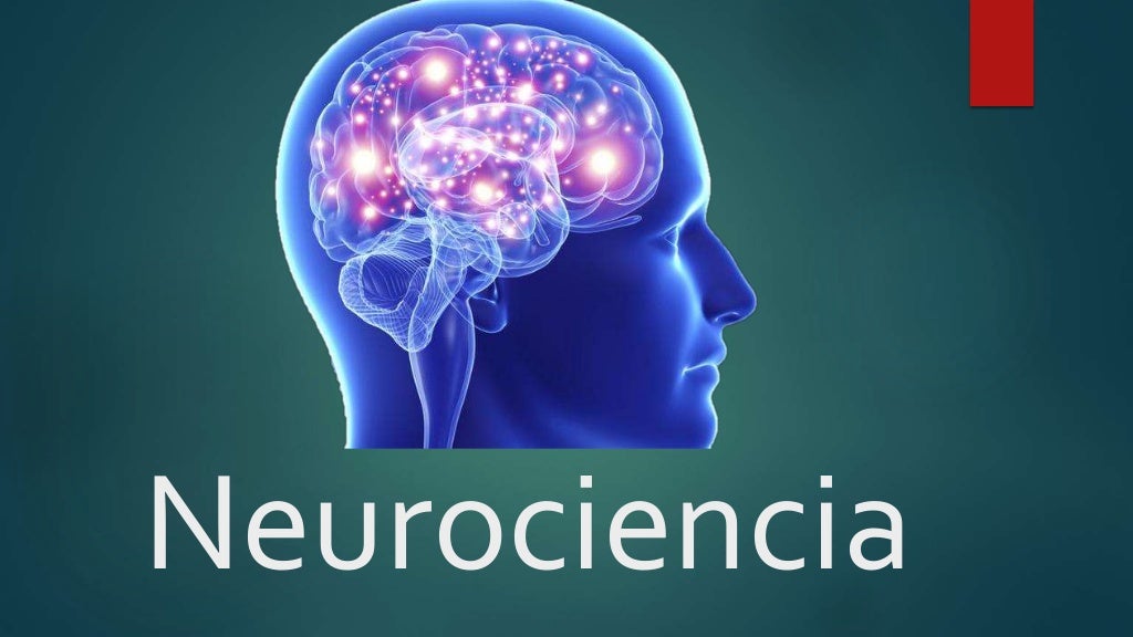 Neurociencia