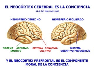 NEUROCIENCIA APLICADO A CRED.ppt