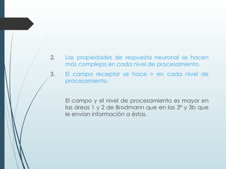 NEUROCIENCIA COGNITIVA PARA EL APRENDIZAJE.ppt
