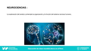 neurociencias introduccion ppt. comportamiento | PPTX