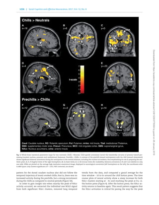 Neurocircuit of chill and piloerection | PDF