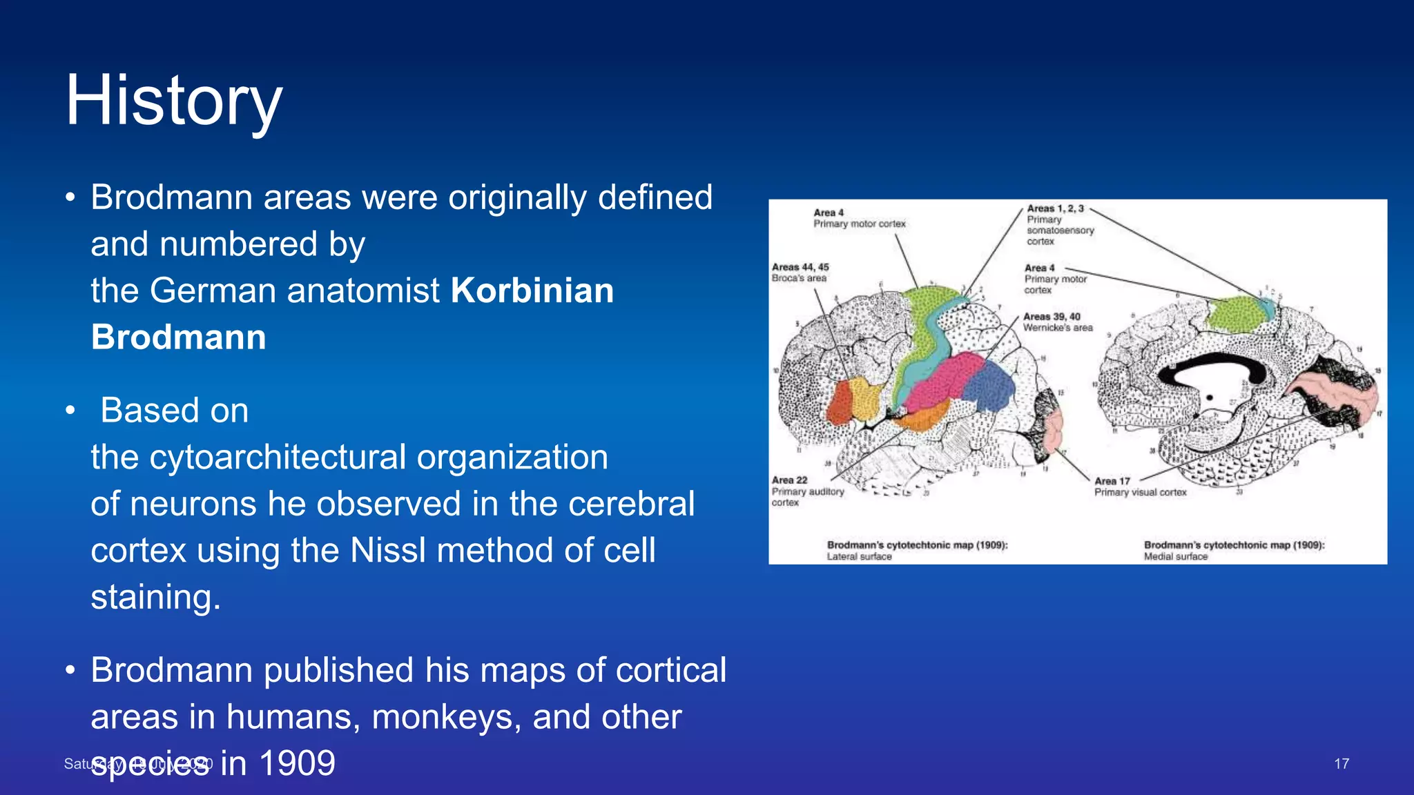 Neuro circuit | PPTX