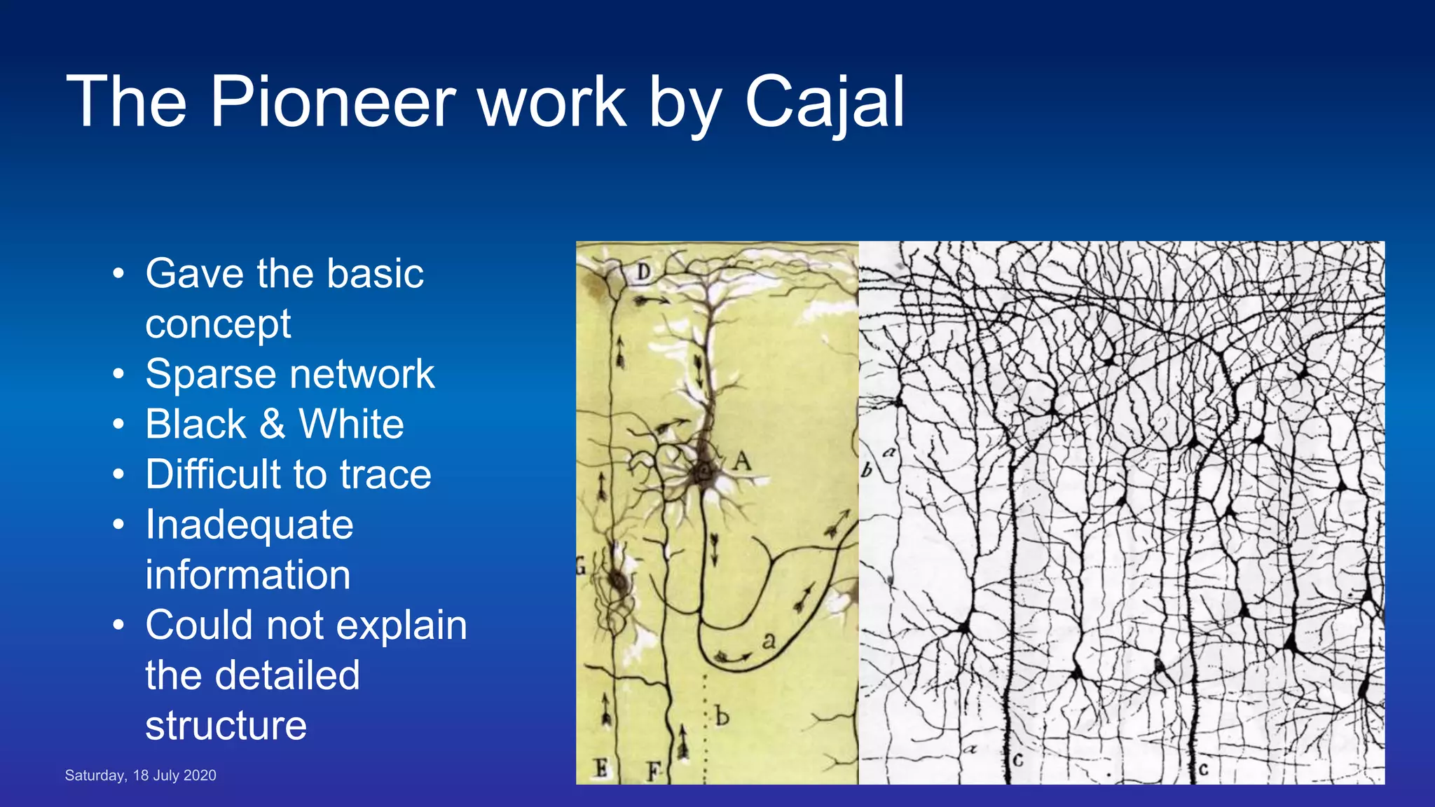 Neuro circuit | PPTX