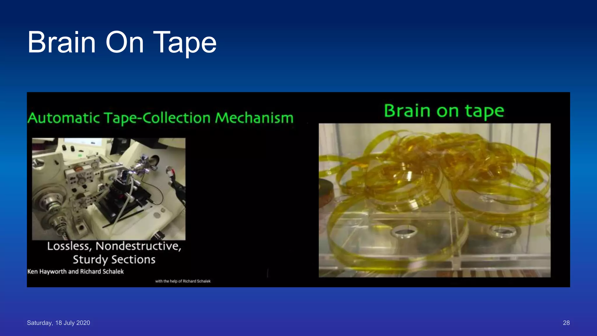 Neuro circuit | PPTX