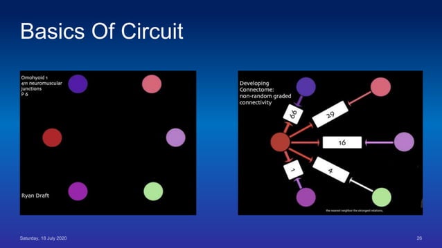 Neuro circuit | PPTX