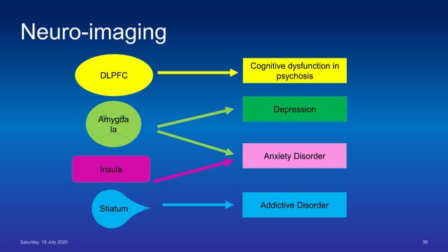 Neuro circuit | PPTX