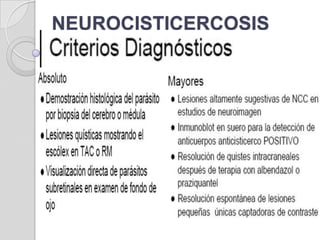 NEUROCYSTICERCOSIS | PDF