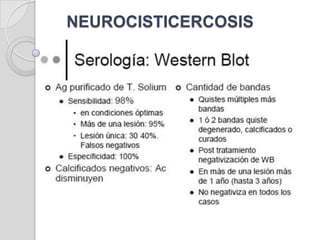 NEUROCYSTICERCOSIS | PDF