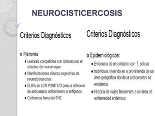 NEUROCYSTICERCOSIS | PDF