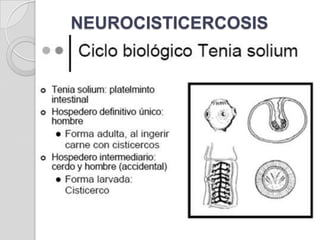 NEUROCYSTICERCOSIS | PDF