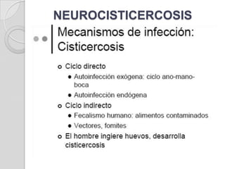 NEUROCYSTICERCOSIS | PDF