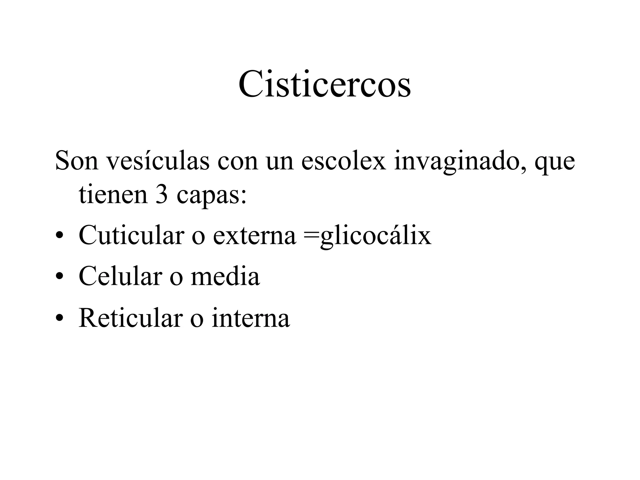 NEUROCISTICERCOSIS.pdf