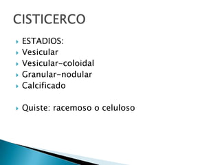 Neurocisticercosis epilesia | PPTX