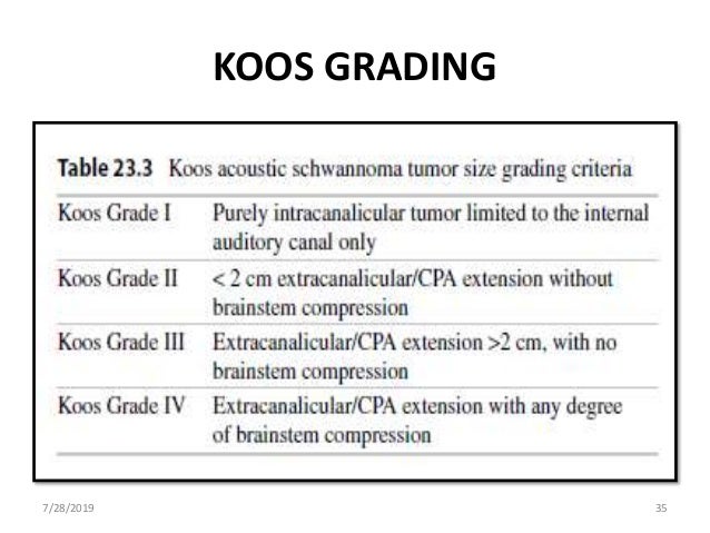 OVERVIEW OF SRS/SRT IN BRAIN TUMORS