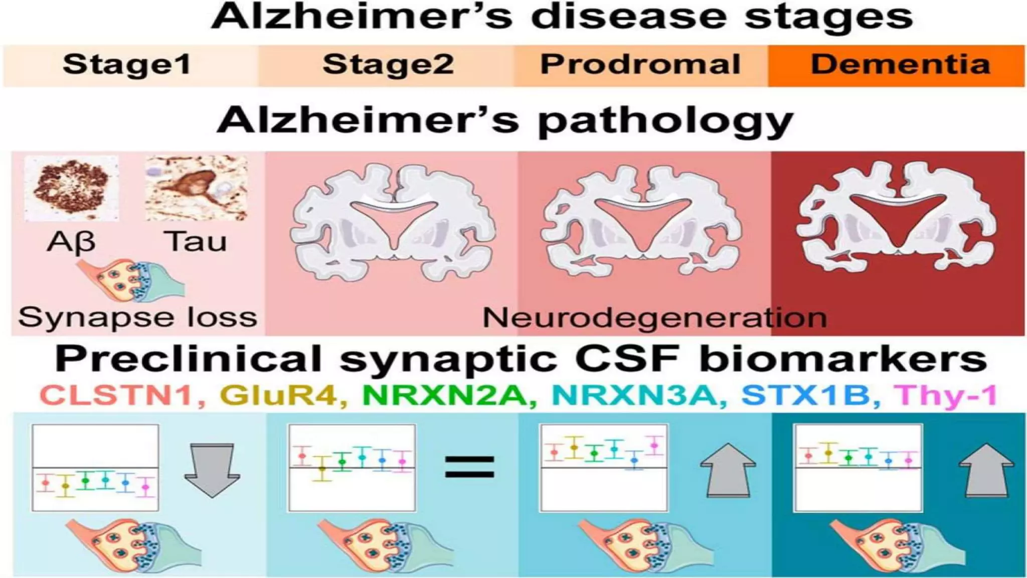 Neurocognitive disorder [NCD] | PPTX