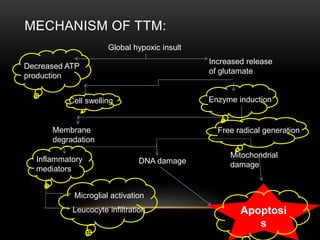 Neurocritical care | PPTX