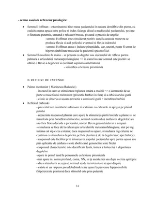 Neuro curs anca | PDF