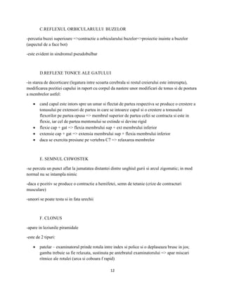 Neuro curs anca | PDF