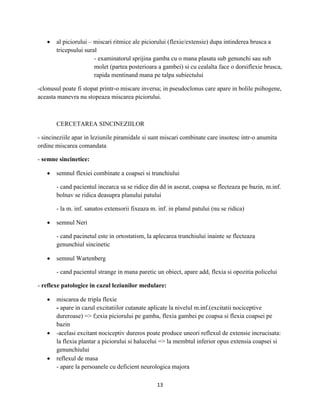 Neuro curs anca | PDF