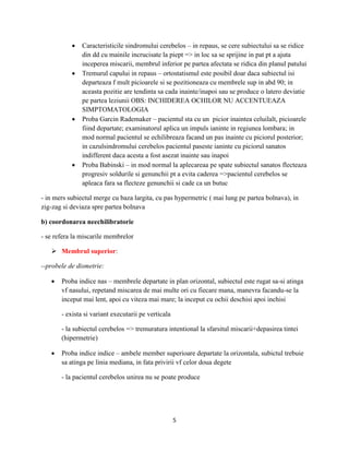 Neuro curs anca | PDF