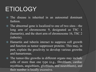 Neurocutaneous syndromes | PPTX