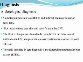 Neurocysticercosis | PPTX