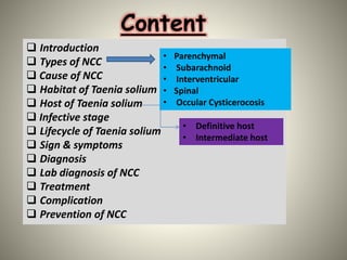 Neurocysticercosis | PPTX