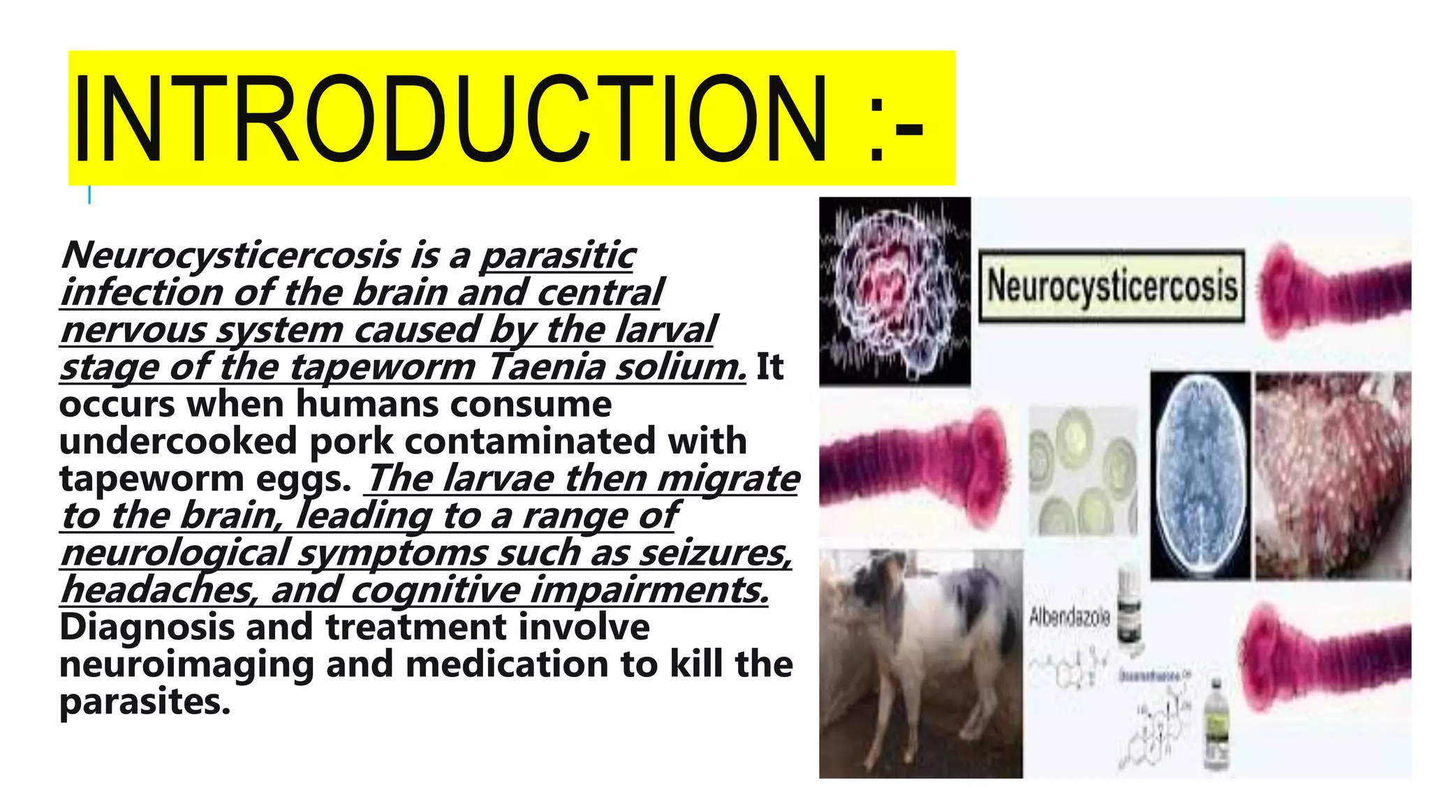 neurocysticercosis by Surbhi.pptx